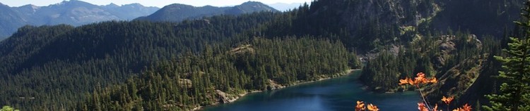 Cascadia Climate Action - Action Network