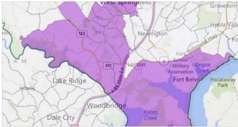 Indivisible VA Assembly District 42 - Action Network