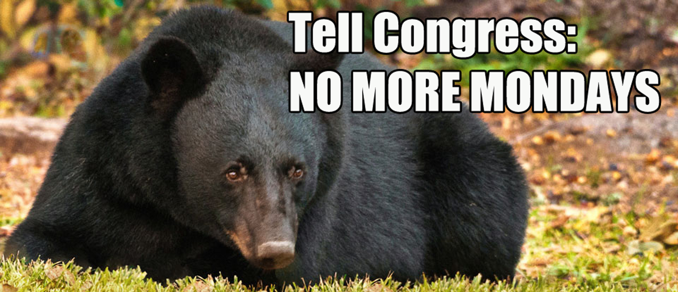 Tell Congress Ban Mondays