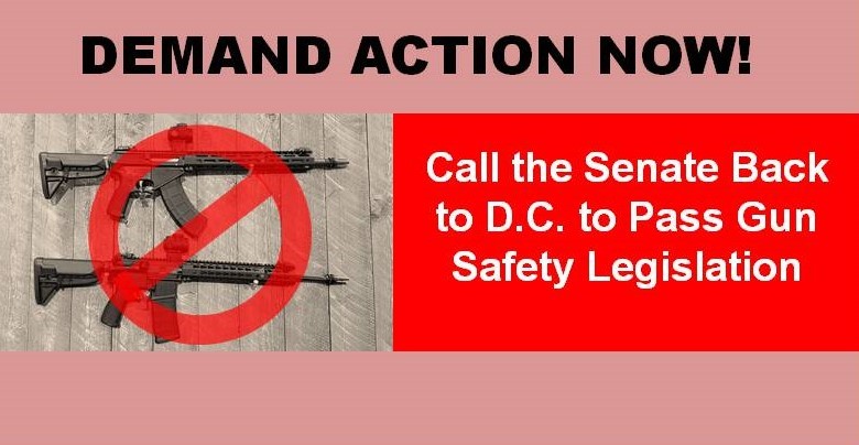 IHB - Tell the Senate to Pass Gun Safety Legislation Now! - Action Network
