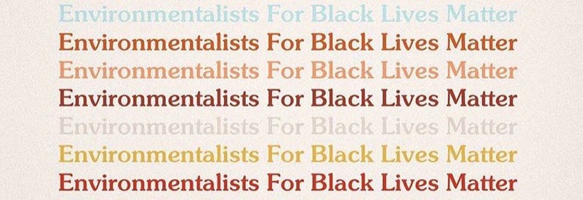 Chapel Hill Stands in Solidarity with Black Lives Matter - Action Network