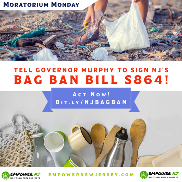 Pass Strongest Single Use Bag Ban in the Nation! - Action Network