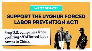 Tell Your Senators: Support The Uyghur Forced Labor Prevention Act (S ...