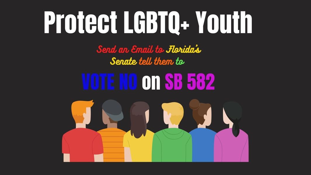 Protect LGBTQ+ and Minority Youth: NO on SB 582/HB 241 - Action Network
