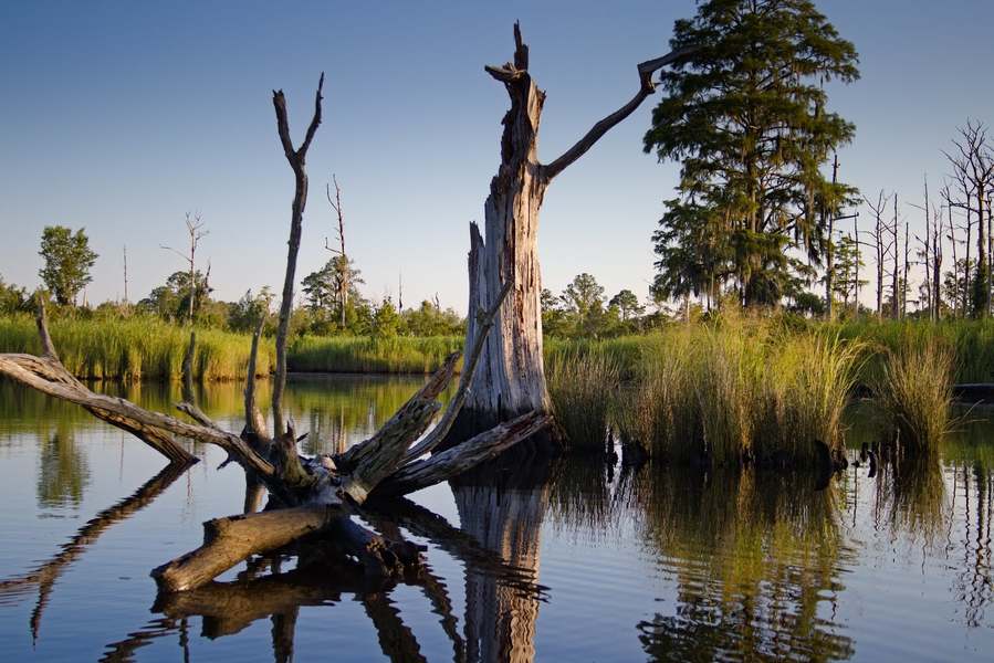EPA needs to protect our wetlands, streams and rivers!