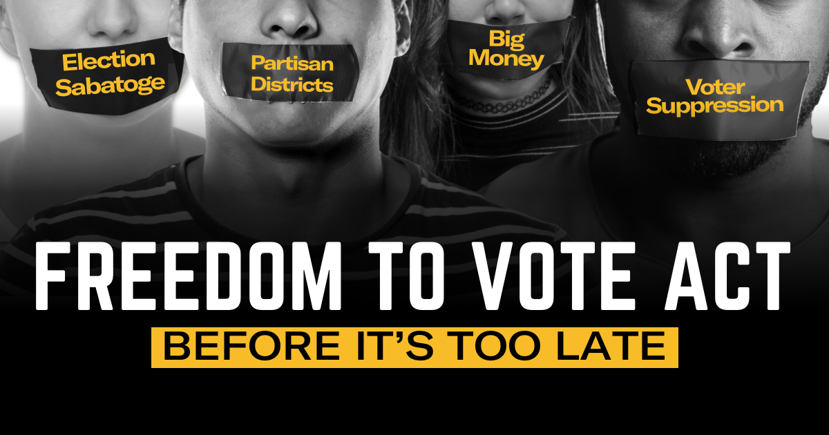 Sign and send the petition: Our freedom to vote cannot wait!