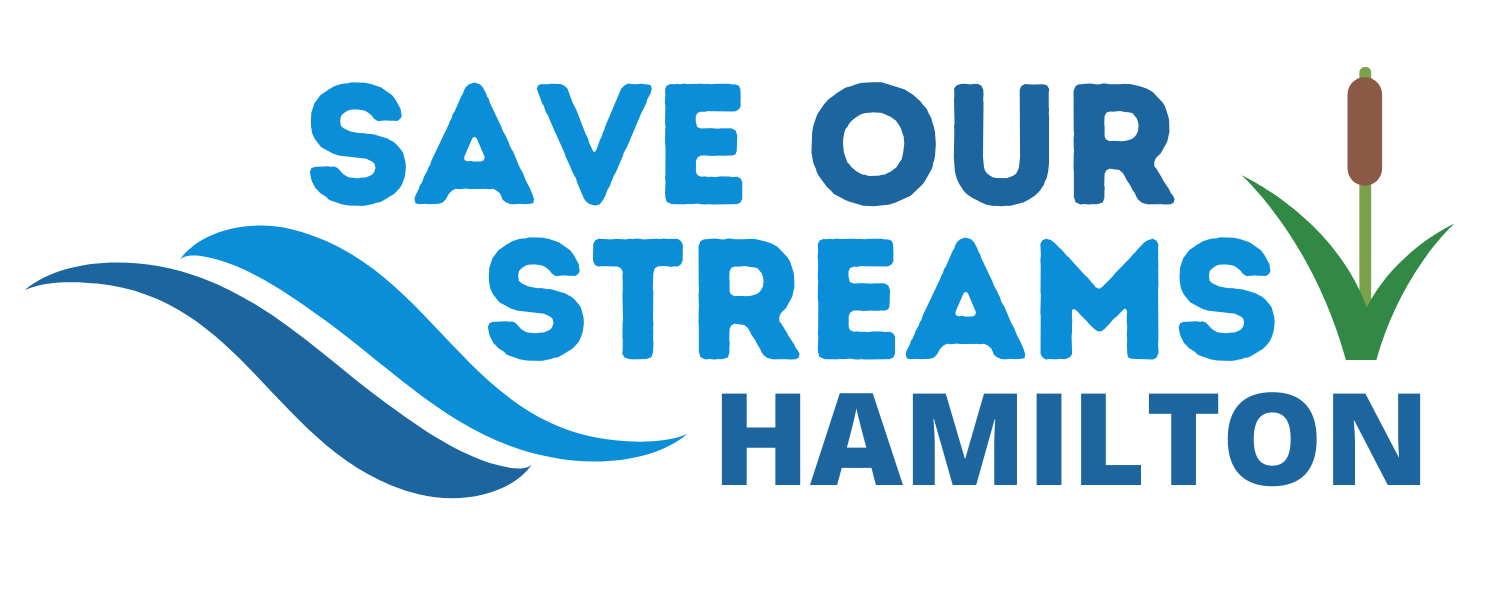 A Conservation Chair that's for Conservation - Action Network