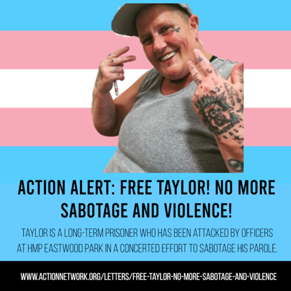 Thank You - Action Network