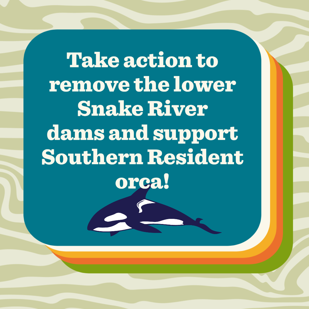Take action to remove the lower Snake River dams and support Southern ...