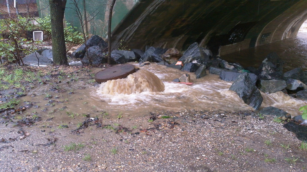 Strengthen the Sewage MCD Phase II Plan! - Action Network