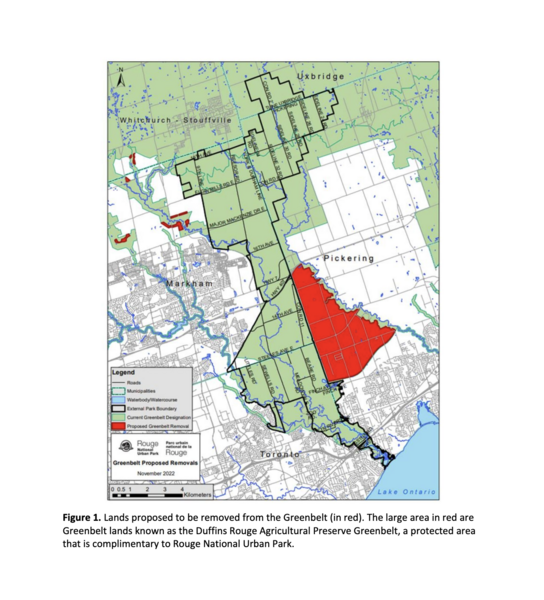 Thank You - Action Network