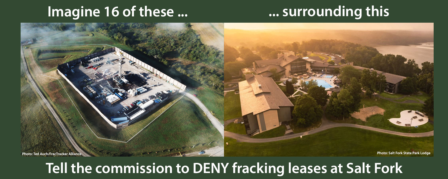 Thank You - Action Network