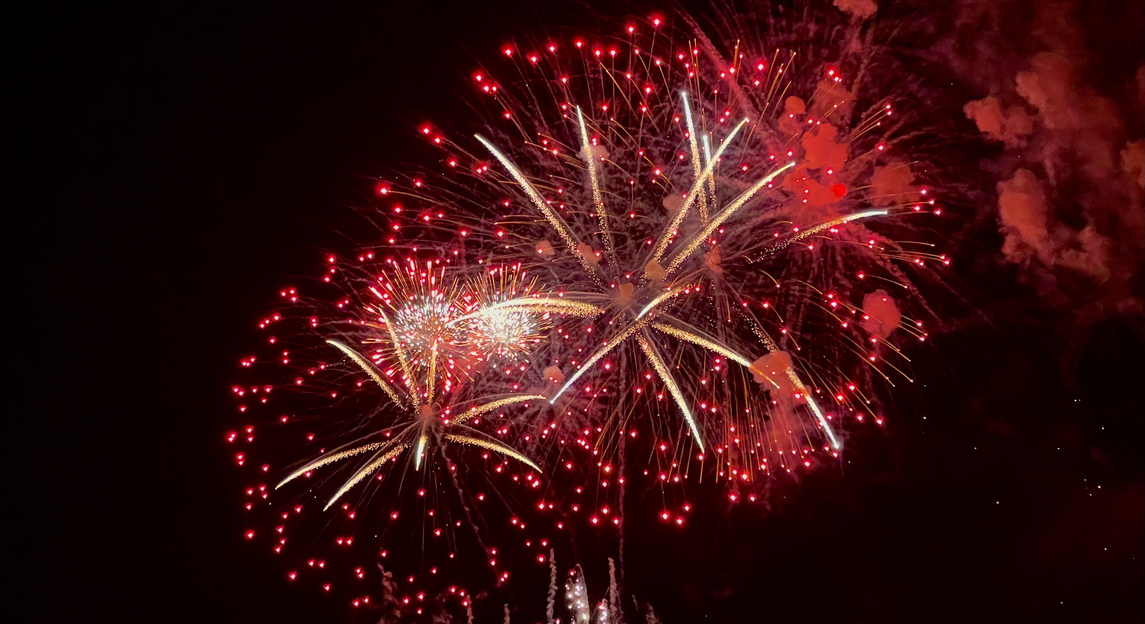 I support Fourth of July fireworks for Minneapolis - Action Network