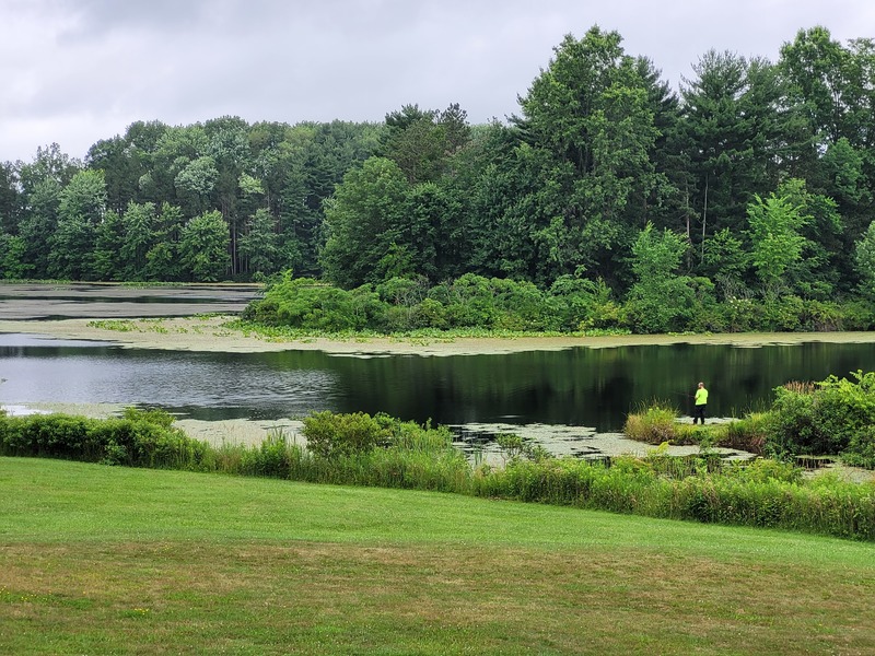 Thank You - Action Network