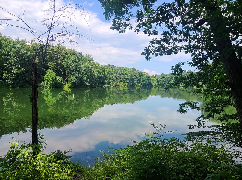 Thank You - Action Network