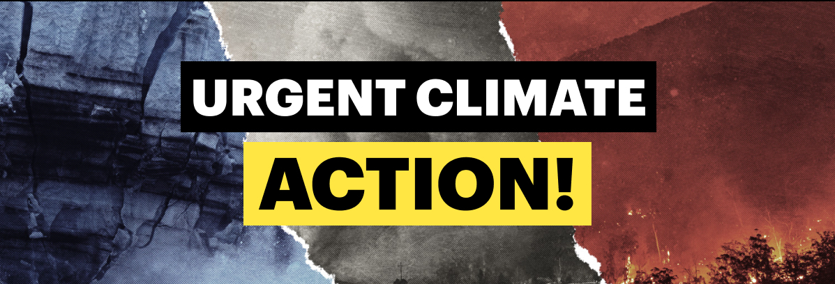 Thank You - Action Network