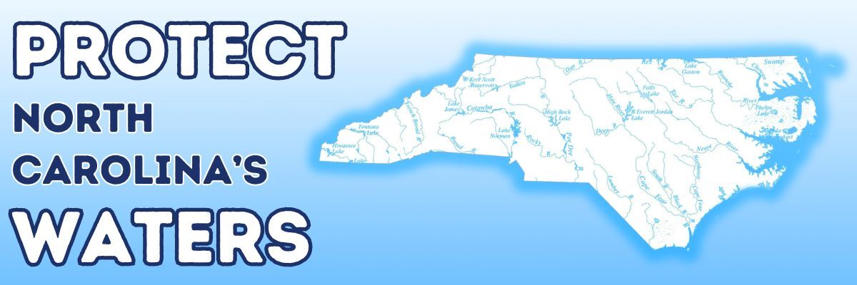 Help defend North Carolina water protections: Stop HB 600!
