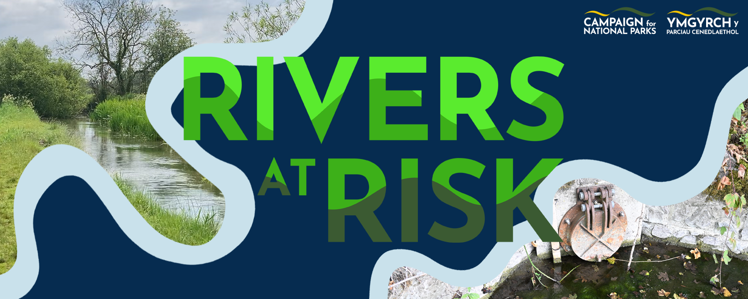 Rivers at Risk: Tell the Welsh Government to Act