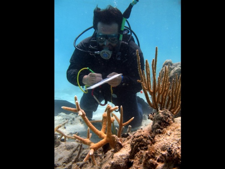 Petición solicitando nombramiento del Dr. Edwin Hernández Delgado ...