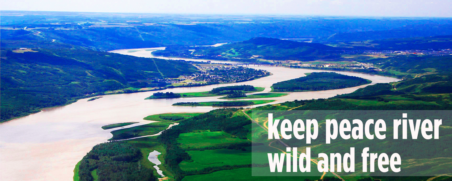 Sign the petition: Keep The Peace River Wild and Free - Action Network
