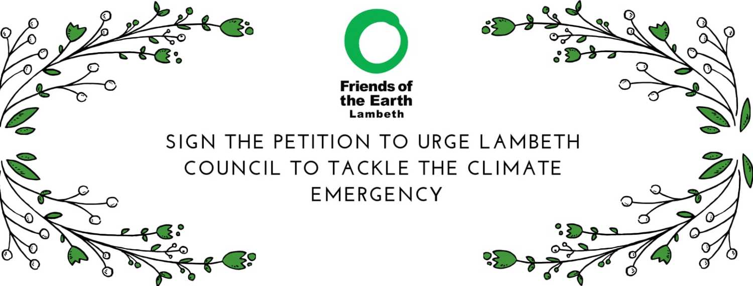 Lambeth Council: Appoint a Climate Emergency Lead