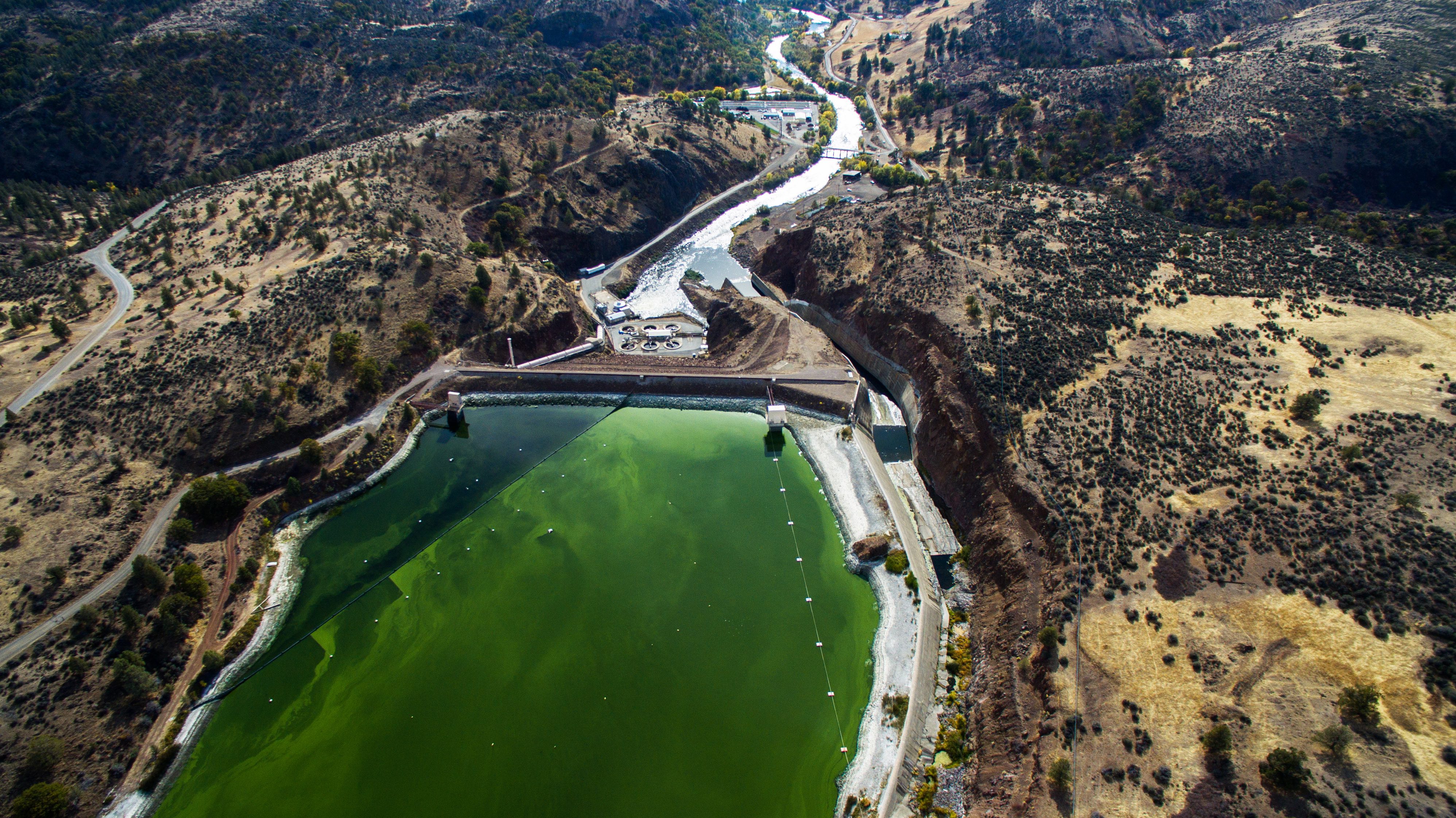 No Dam Carbon Offsets - Action Network