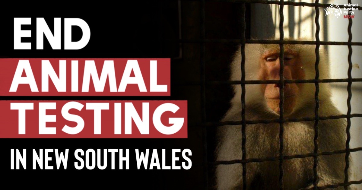 PETITION TO END ANIMAL TESTING IN NSW - Action Network