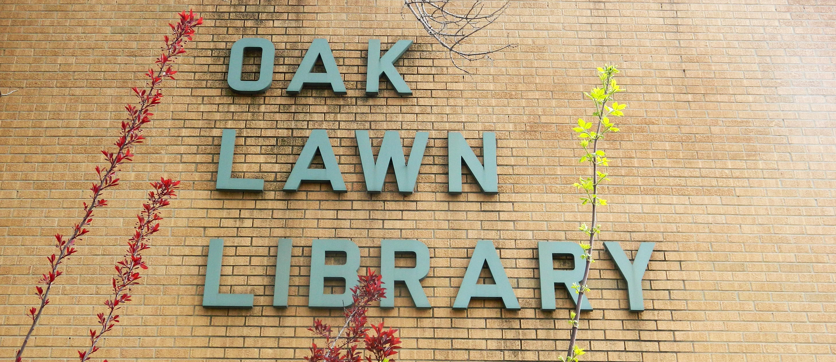 Support Library Employees - Action Network