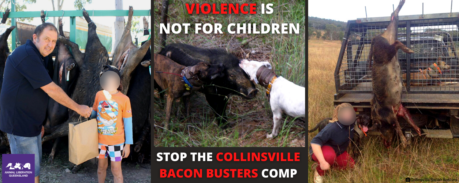 Stop the Collinsville Bacon Busters Comp - Action Network