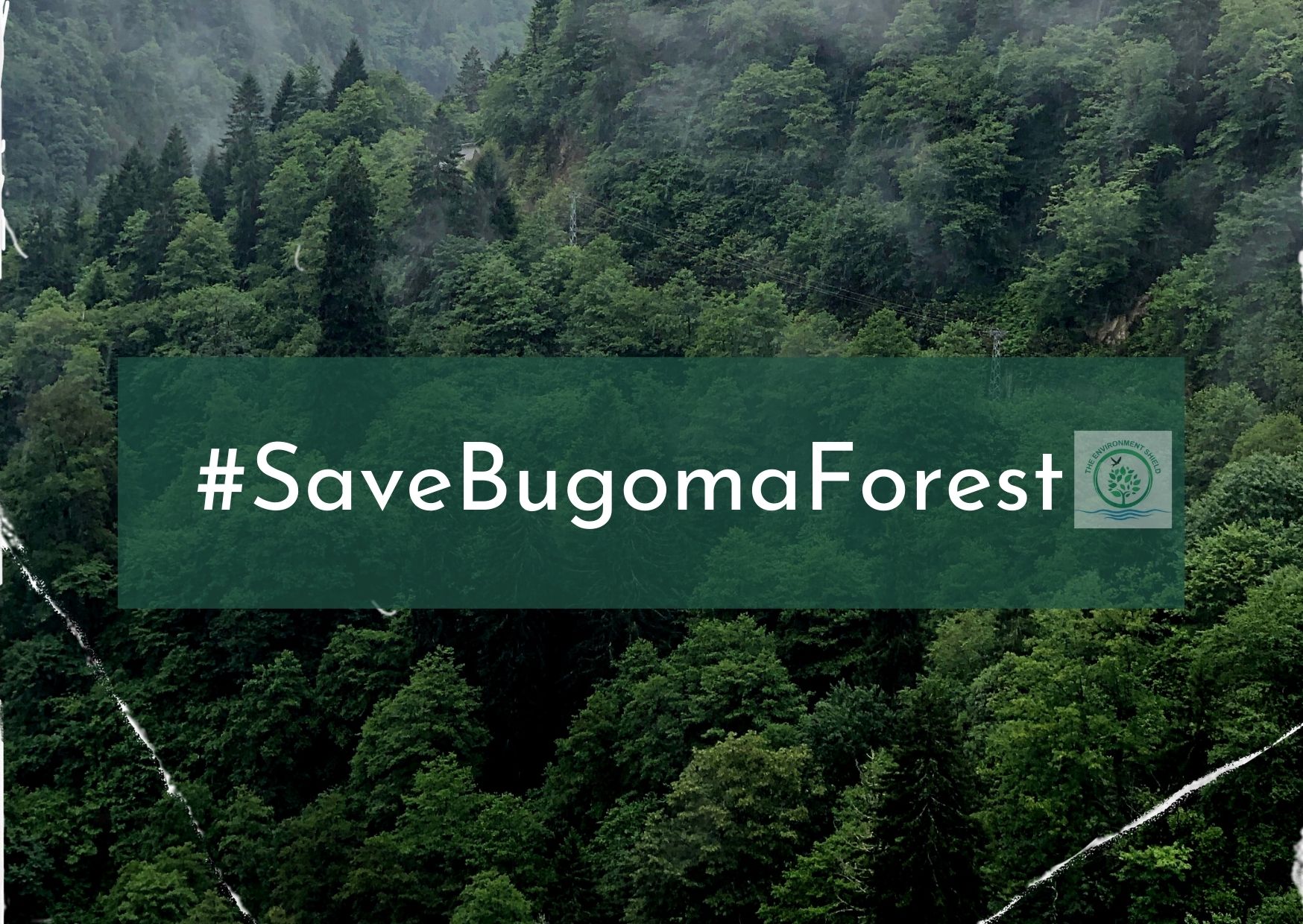 Petition to National Environment Management Authority to cancel the ...