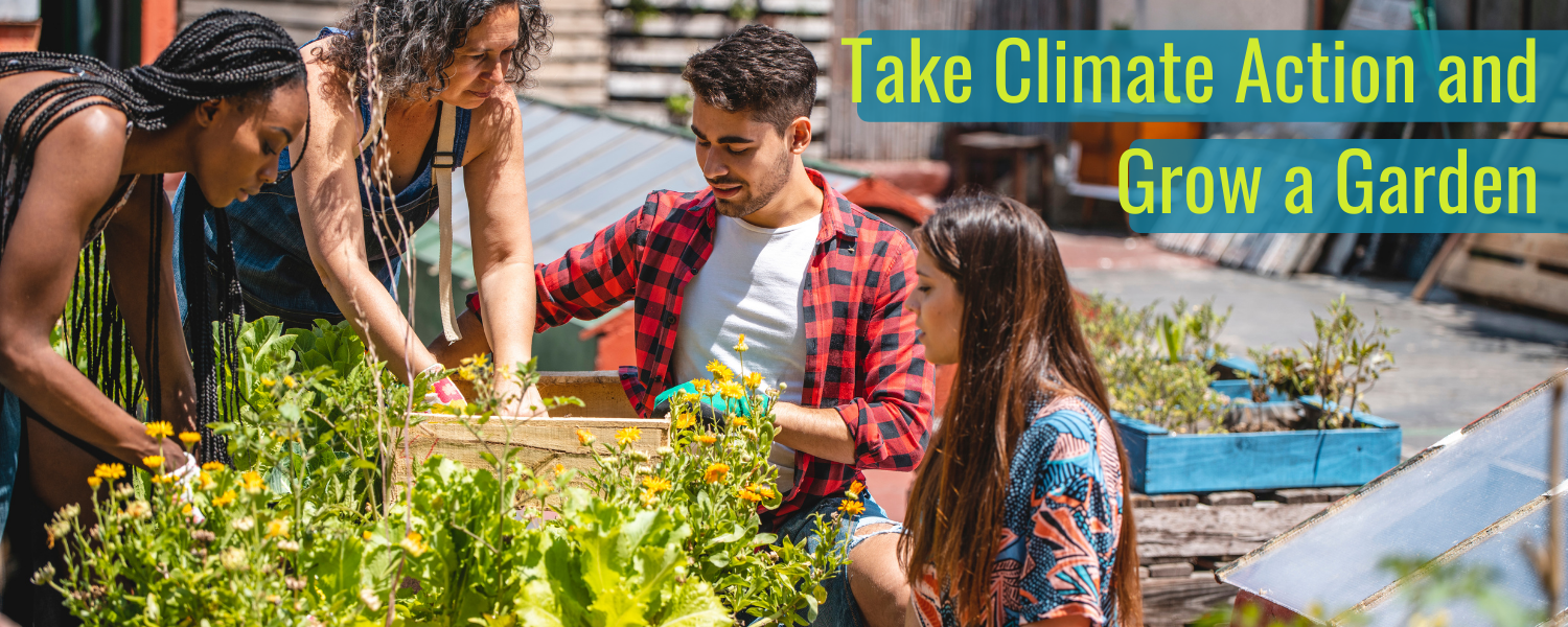 Take the Planting Pledge and Grow a Garden - Action Network