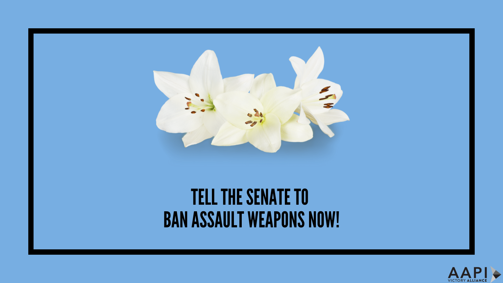 Tell Your Senators to Ban Assault Weapons NOW! - Action Network