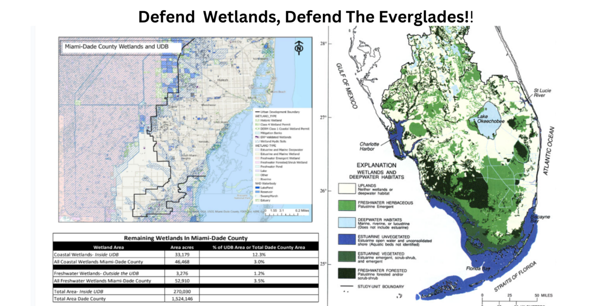 Defend The Wetlands That Protect Our Communities! - Action Network