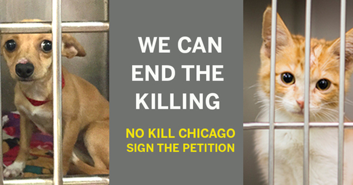 Help Build a No Kill Chicago - Action Network