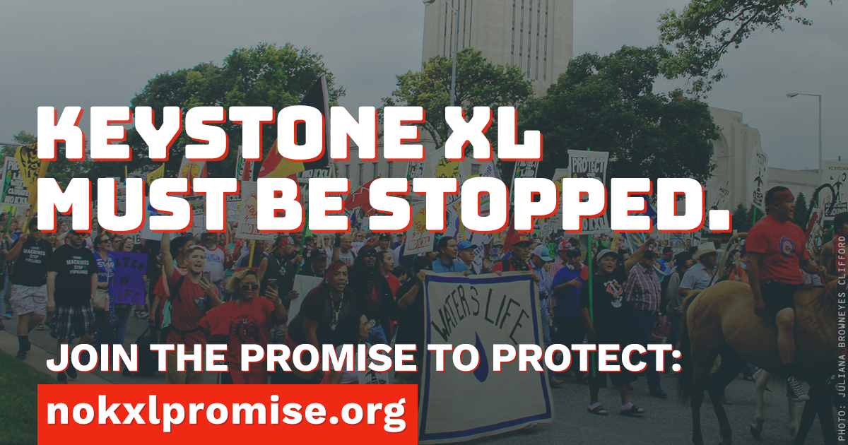 Join the Promise to Protect