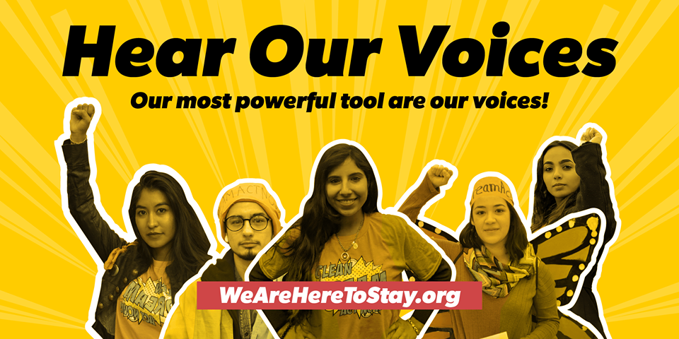 Immigrant Youth Organizing Action Network