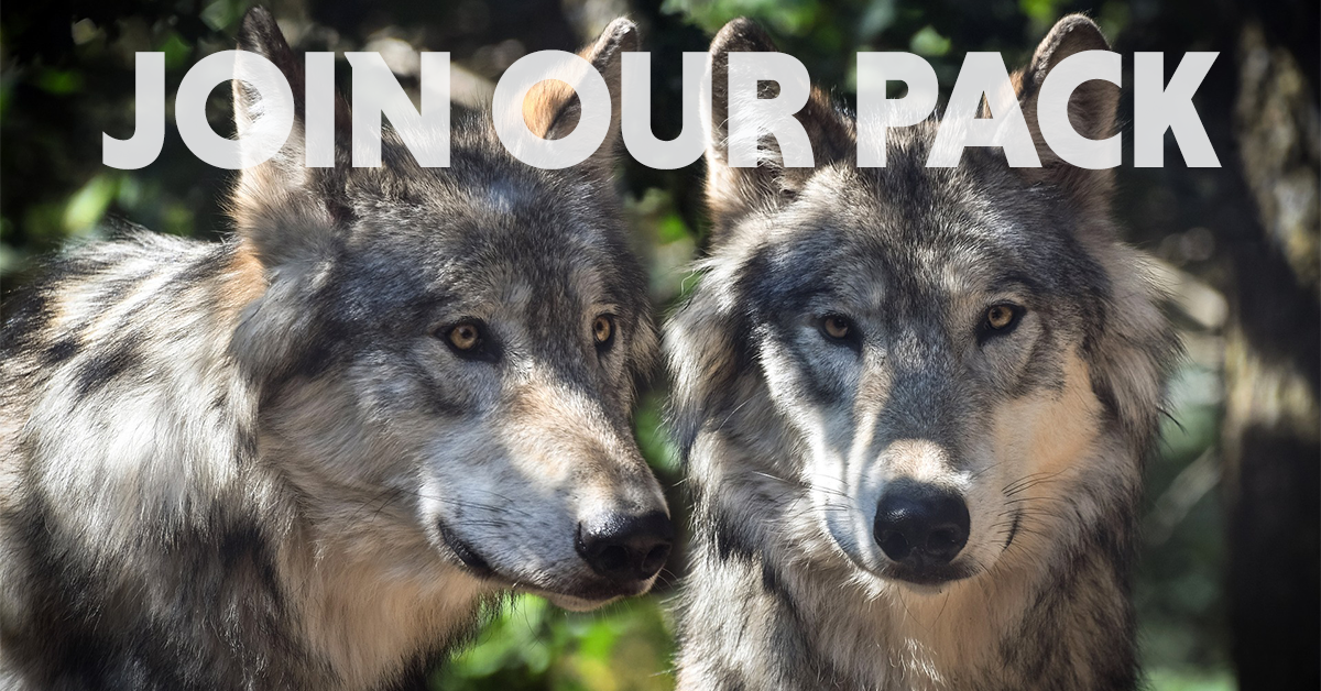 Join Our Pack and Make Your Voice Heard - Action Network