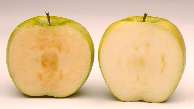 Sign now to demand that Amazon reject genetically engineered apples