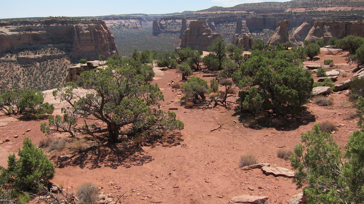 Create Wildlife Corridors in Colorado