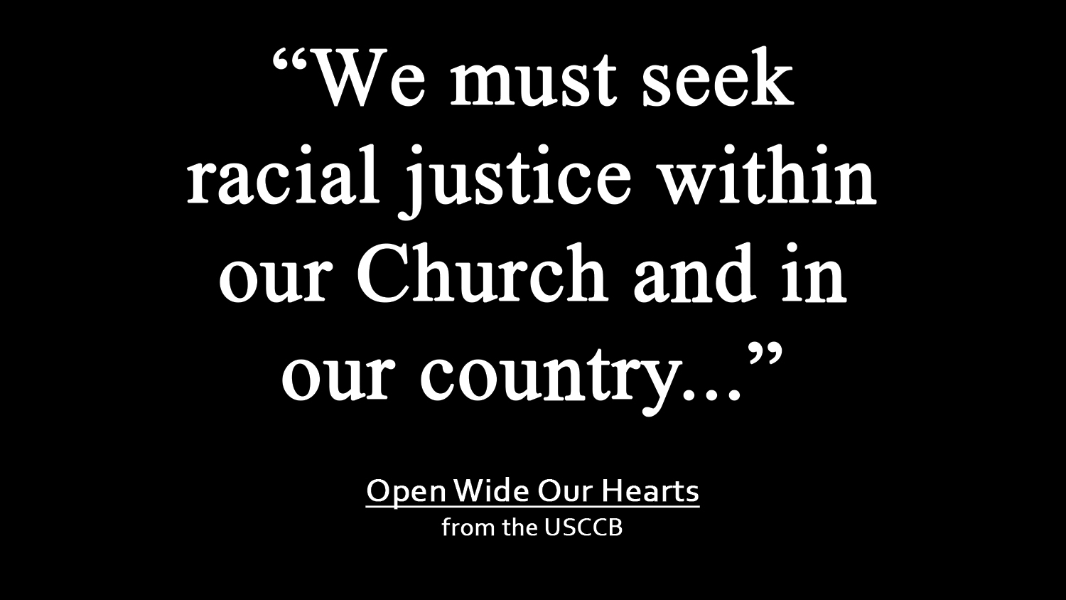 Petition: Catholic Church, Stand Against Racism - Action Network