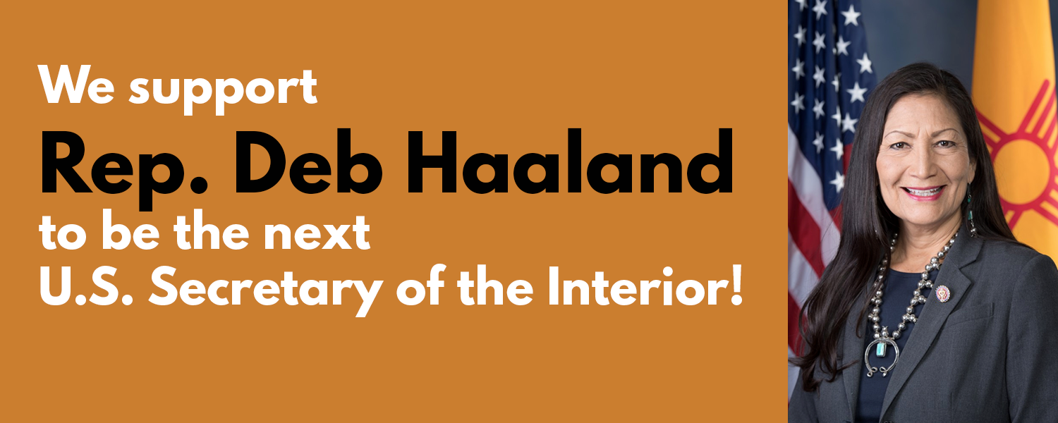 We Endorse Deb Haaland to Be Secretary of the Interior - Action Network