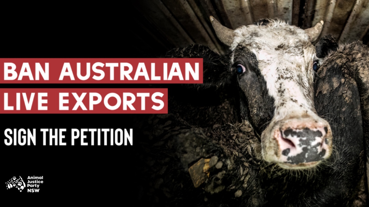 Ban Australia's Live Exports - Action Network