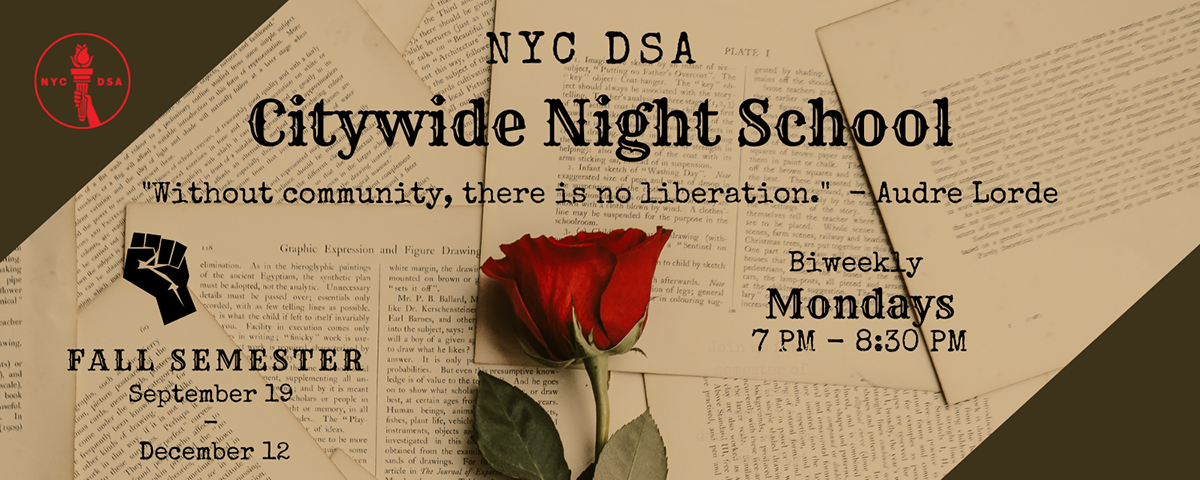 NYC DSA Academy email signup