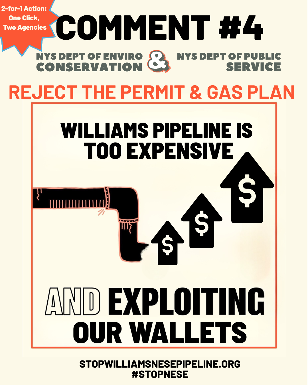 Comment 4: DEC & DPS : Deny the Permit and Plan for the Williams ...
