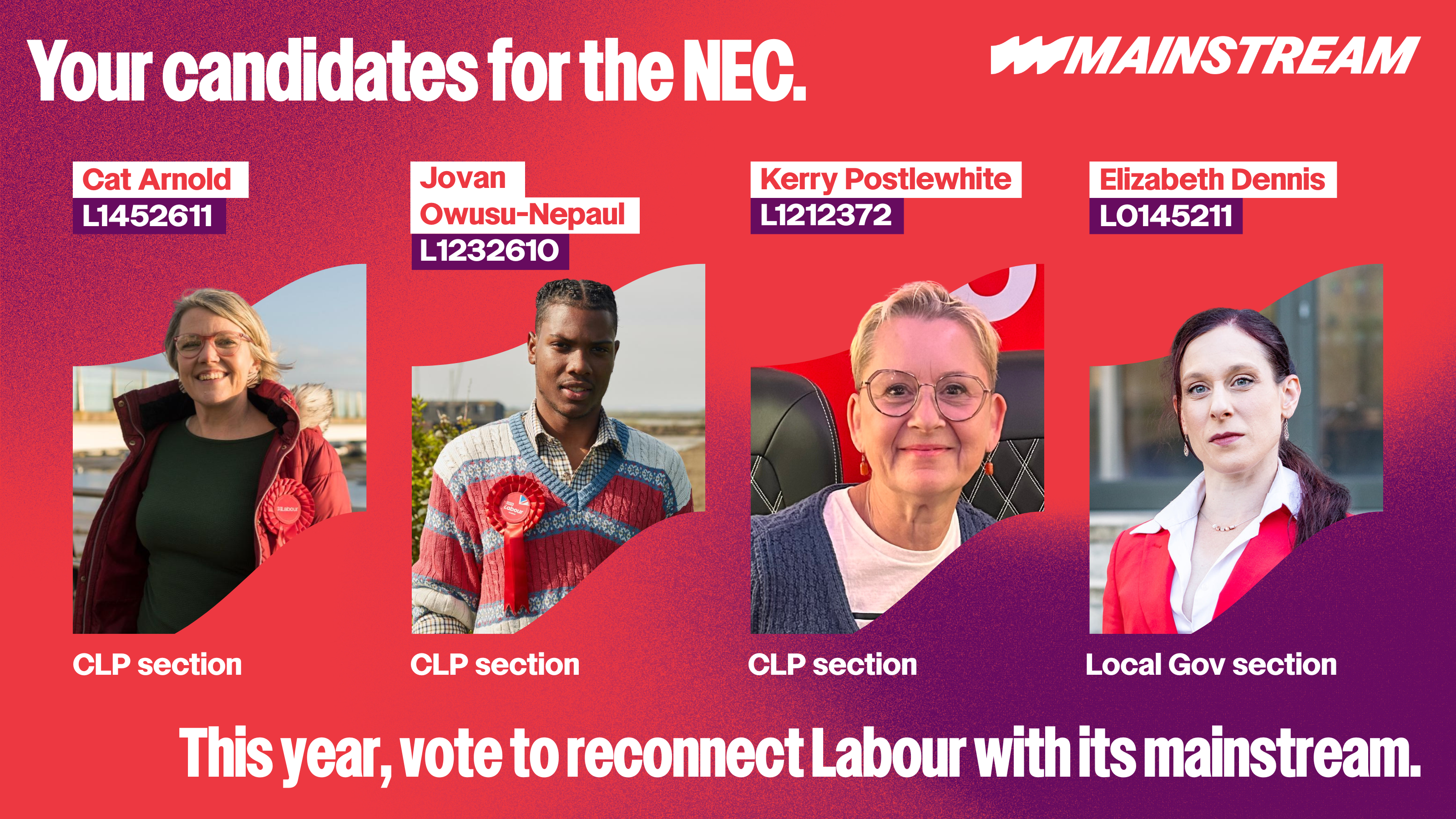 Will you help elect Mainstream's candidates to the NEC?