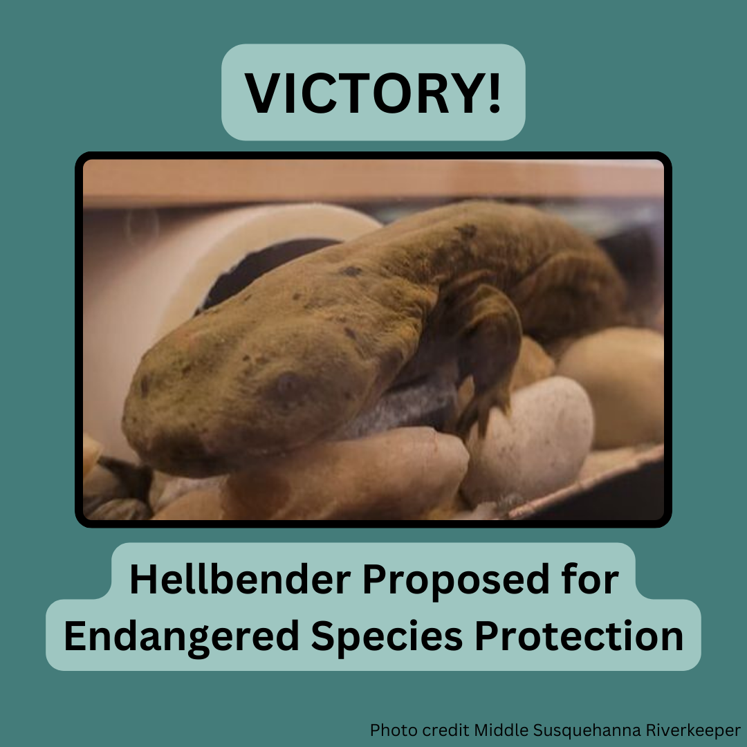 December 2024 ENews - Waterkeepers Chesapeake